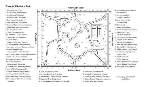 Trees of Elizabeth Park - City of Bellingham, WA