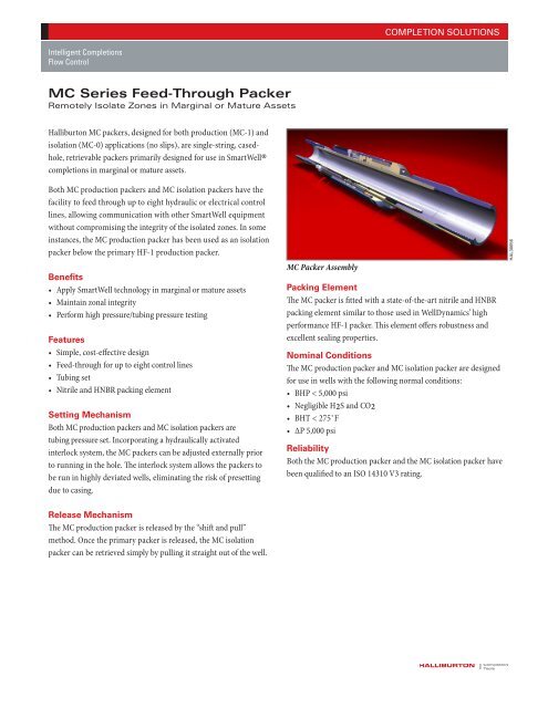 MC Series Feed-Through Packer - Halliburton