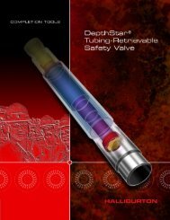 WellDynamics Section - Halliburton