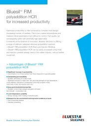 BLUESIL_ HCR_SPECIALTIES_2012.pdf - Bluestar Silicones