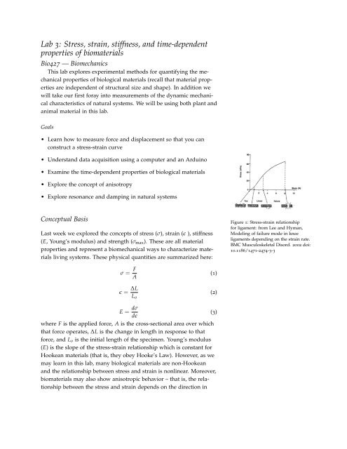 Lab 3: Stress, strain, stiffness, and time-dependent properties of ...