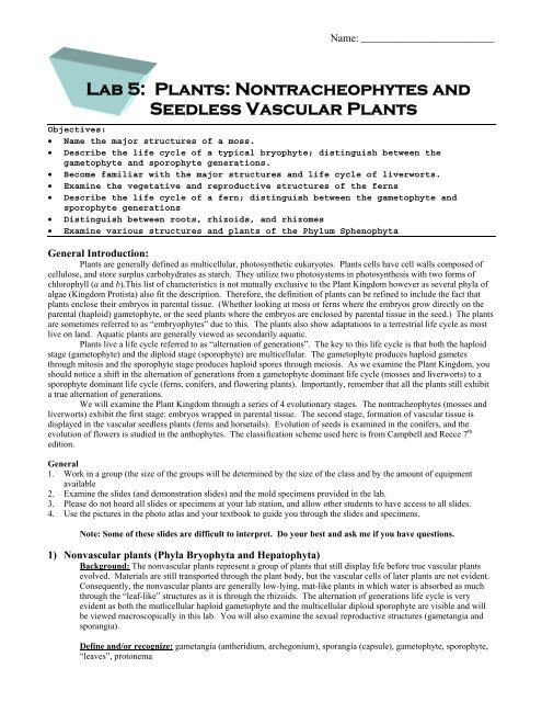 Lab 5: Plants: Nontracheophytes and Seedless Vascular Plants