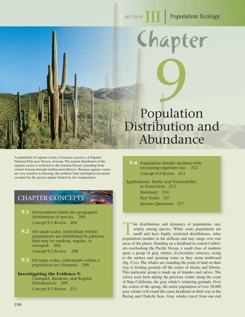 Random Population Distribution