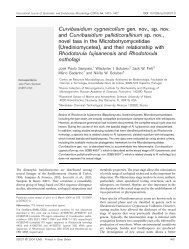 Arthrobacter flavus sp. nov., a psychrophilic bacterium isolated from ...
