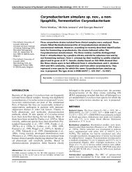 Arthrobacter flavus sp. nov., a psychrophilic bacterium isolated from ...