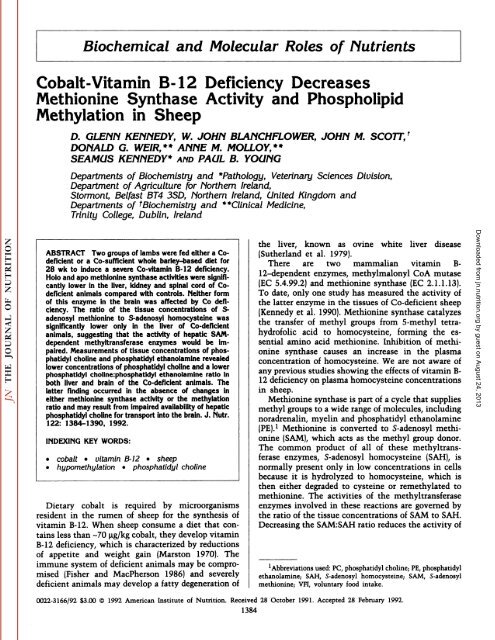 Cobalt-Vitamin B-12 Deficiency Decreases Methionine Synthase ...