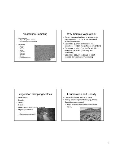 Sampling techniques with complete counts /Vegetation