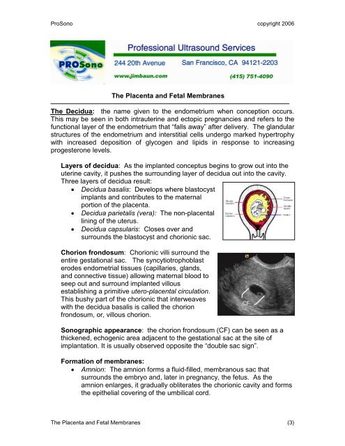 Decidua capsularis ...The