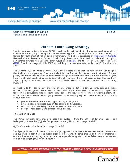 Durham Youth Gang Strategy