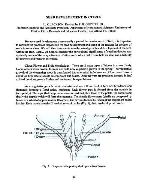 seed development in citrus - Indian River Research and Education ...