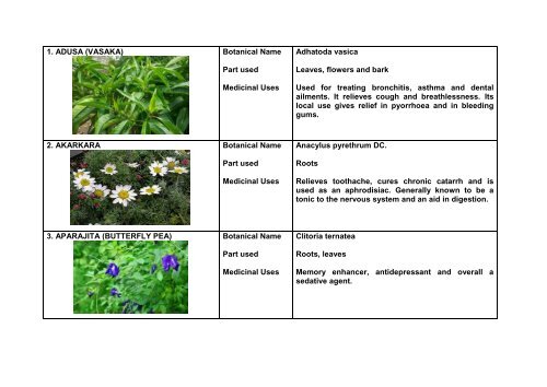 Adhatoda Vasica Root