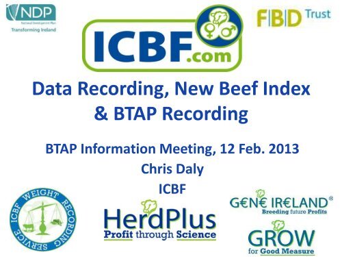 Icbf NEWS ICBF