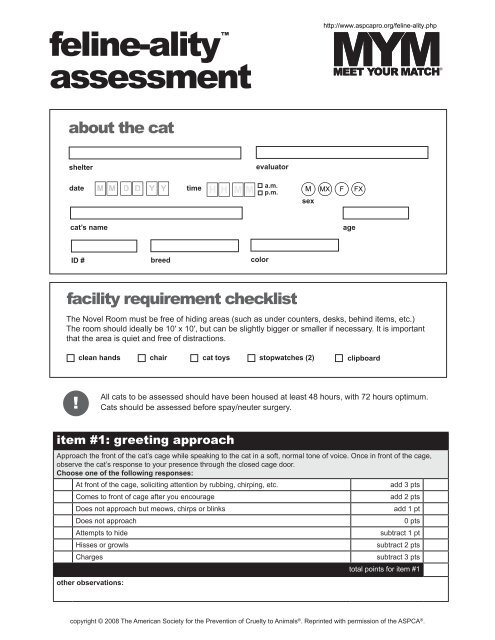 feline-ality assessment