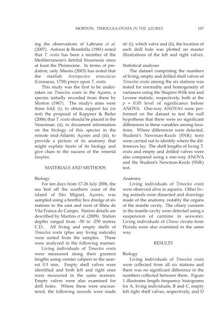 MORTON: TIMOCLEA OVATA IN