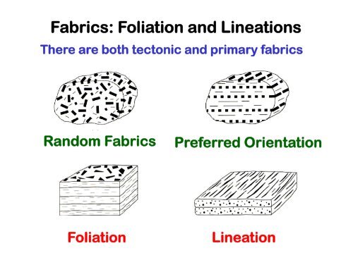 Foliation