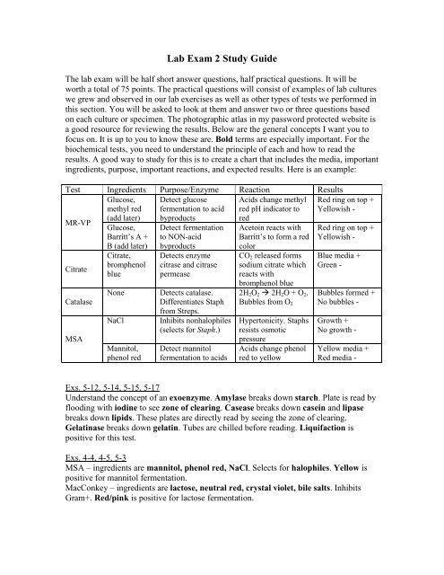 Lab Exam 1 Study Guide Bio 20 Lab Exam 1 Study Guide Flashcards