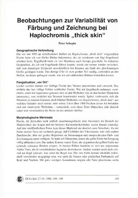 Haplochromis,,thick skin"