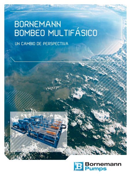 bornemann-ar.com - Bornemann Pumps