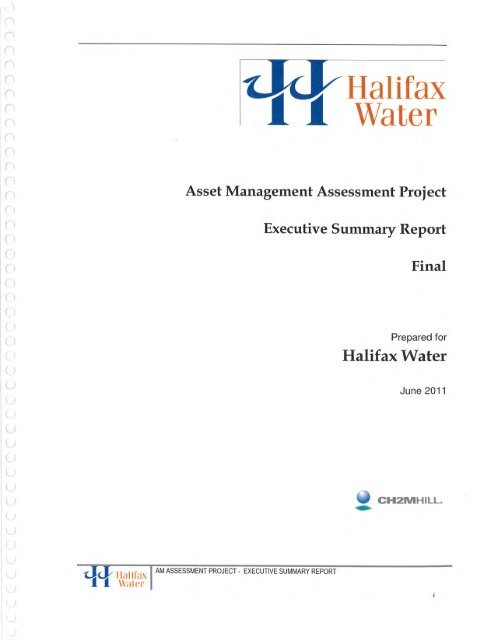 Asset Management Assessment Project - Executive Summary Report