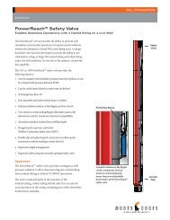 Mirage® NG Disappearing Plug - Halliburton