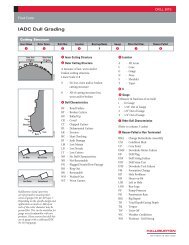IADC Dull Grading - Roller Cone Bits - Halliburton