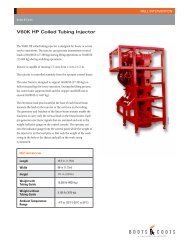 Tubing String Testing (TST) Valve - Halliburton