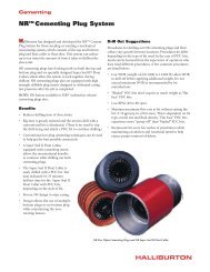 Mirage® NG Disappearing Plug - Halliburton