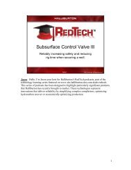 Subsurface Flow Control (External Customer) - Halliburton