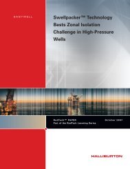 CheckStream™ Chemical Injection System - Halliburton