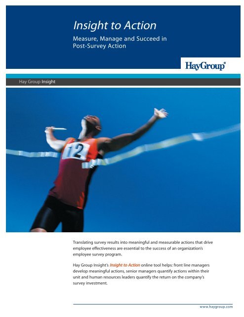 Hay Group Insight to Action brochure