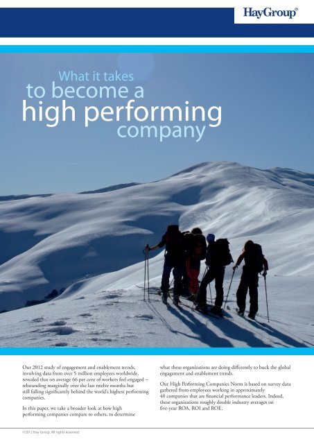 What is takes to become a high performing company - Hay Group