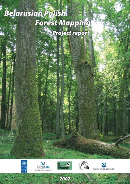 Belarusian Polish Forest Mapping Belarusian Polish Forest Mapping