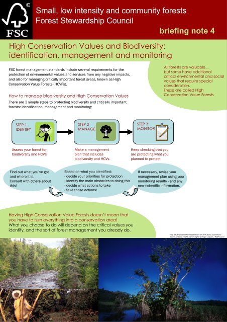 High Conservation Values and Biodiversity - Forest Stewardship ...