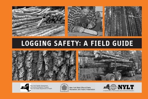 Logging Safety: A Field Guide - New York State Department of Health