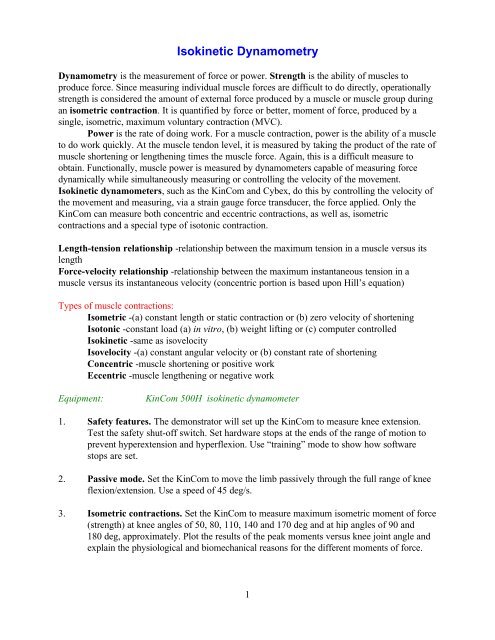 Isokinetic Dynamometry