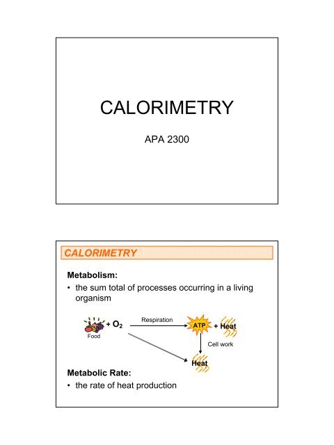 CALORIMETRY