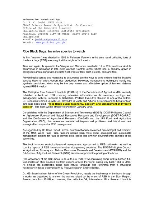 Rice Black Bugs: invasive species to watch