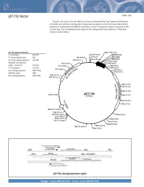 pET-15b Vector - EMBL