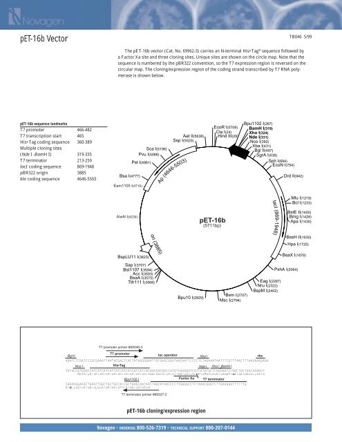 pET-16b Vector - EMBL