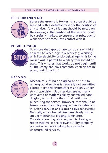 SAFE SYSTEM OF WORK PLAN