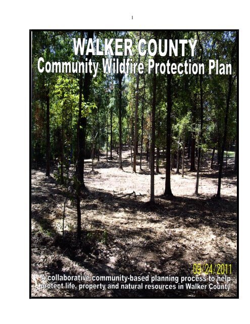 Walker County CWPP - City of Huntsville, Texas