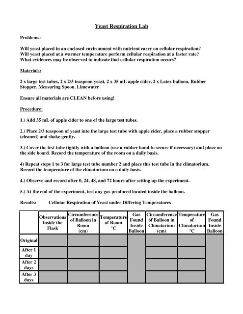 Yeast Fermentation Balloon