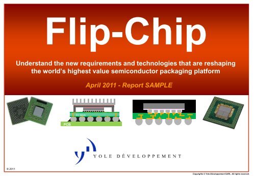 Flip Chip Packaging Technology