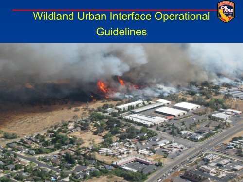 Tactical Standards of Operations in the WUI