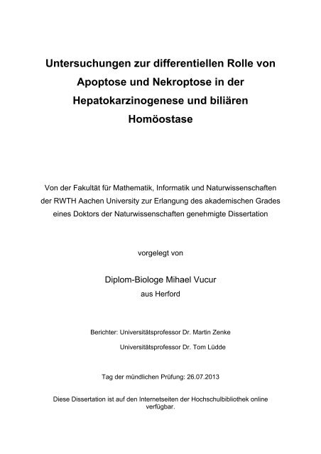 Dokument 1.pdf - RWTH Aachen University