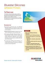 BLUESIL_ HCR_SPECIALTIES_2012.pdf - Bluestar Silicones