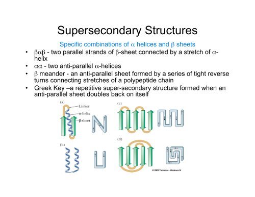 Super Secondary Structure Of Protein Pdf Selling Discount ... Super Secondary Structure Of Protein Pdf Selling Discount ...