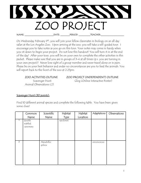 Zoo School Projects