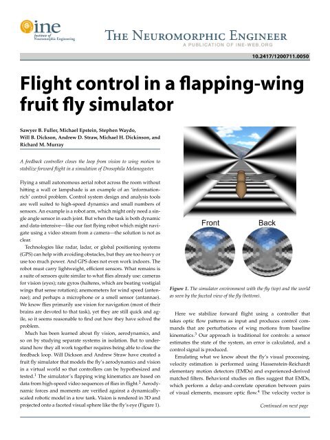 Flight control in a flapping-wing fruit fly simulator - The ...