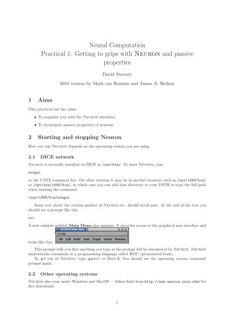 1. The NEURON simulator: Passive properties